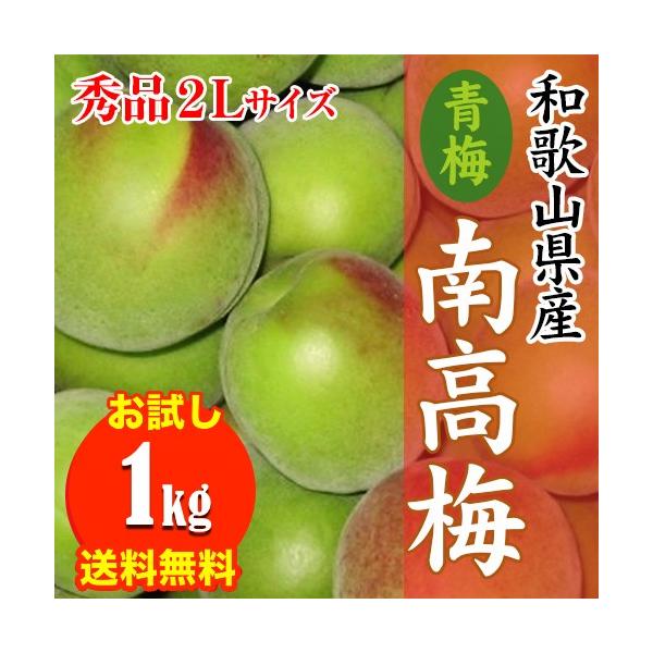 【発売日：2025年05月13日】【商品の仕様】秀品2Lサイズ 1kg産地箱(送料無料）和歌山県産本州・四国・九州：送料無料　北海道：500円　沖縄・離島：１０００円この商品はクール便(冷蔵）でお届けします。この商品は入荷あり次第、順次発送...