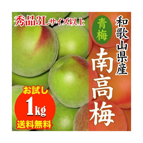 【発売日：2025年05月13日】【商品の仕様】3Lサイズ以(上3Lから4Lサイズ混合) 1kg産地箱(送料無料）和歌山県産本州・四国・九州：送料無料　北海道：500円　沖縄・離島：１０００円この商品はクール便(冷蔵）でお届けします。この商...
