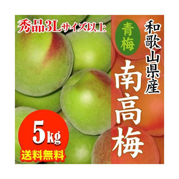 【発売日：2025年05月13日】【商品の仕様】3Lサイズ以(上3Lから4Lサイズ混合)５kg産地箱(送料無料）和歌山県産本州・四国・九州：送料無料　北海道：500円　沖縄・離島：１０００円この商品はクール便(冷蔵）でお届けします。この商品...