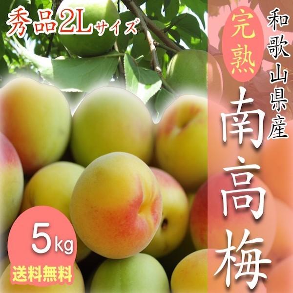 【発売日：2025年05月13日】【商品仕様】・和歌山県産 南高梅 完熟梅 秀品 5kg 2Lサイズ・和歌山県産・クール便(冷蔵)お届けします。送料無料・6月中入荷あり次第予約ご注文順に順次発送いたします。【商品説明】和歌山の温暖な気候で育...