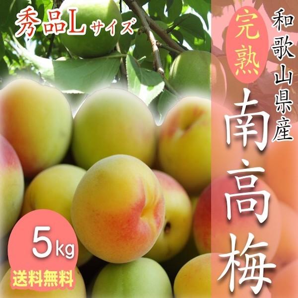 【発売日：2025年05月13日】【商品仕様】・和歌山県産 南高梅 完熟梅 秀品 5kg Lサイズ・和歌山県産・クール便(冷蔵)お届けします。送料無料・6月中入荷あり次第予約ご注文順に順次発送いたします。【商品説明】和歌山の温暖な気候で育っ...
