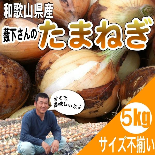 ●和歌山県産特別栽培　玉葱　サイズ不揃い産地箱　５kg●この玉葱は和歌山有機認証協会の認証を得た特別栽培玉葱です。●サイズはSサイズ〜２Lサイズの混みサイズを産地箱に５kg入れています。