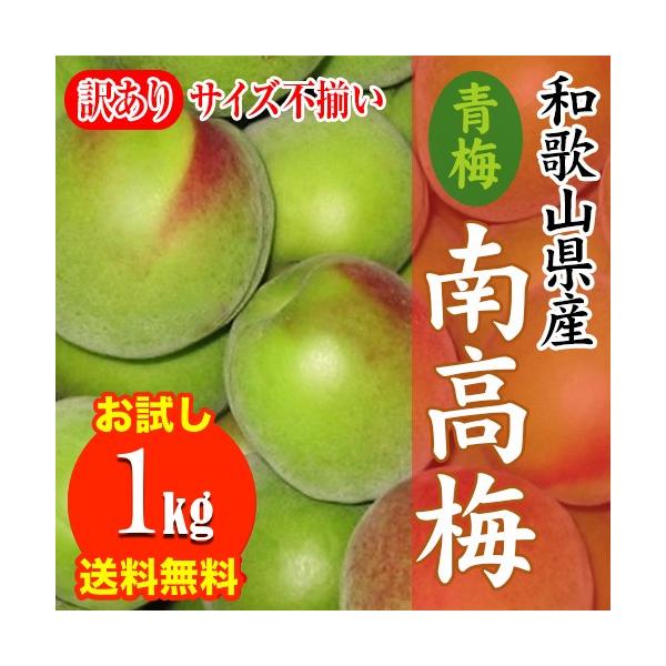 【発売日：2025年05月13日】［商品の仕様］訳あり南高梅（青梅）サイズ不揃い（３L〜Mサイズ混合）、傷あり、黒点、変形、黒ずみあり。1kg産地箱(送料無料）梅酒、梅ジュース用のため梅干しには使用しないで下さい。和歌山県産本州・四国・九州...