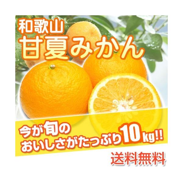 【商品の仕様】●和歌山県産甘夏　訳あり（優品）10kg　産地箱　送料無料●大小サイズ不揃い、固定サイズになる場合あり●ご自宅用●サイズ指定、日時指定、時間指定、品種指定はできません。 【重要なお知らせ】 ★必ずお読み下さいこの商品は、甘夏の...