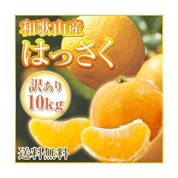 和歌山県産八朔　訳あり（優品）10kg　産地箱　送料無料（一部地域を除く）大小サイズ不揃い（3Lサイズ〜Sサイズ）ご自宅用サイズ指定、日時指定、時間指定、品種指定はできません。