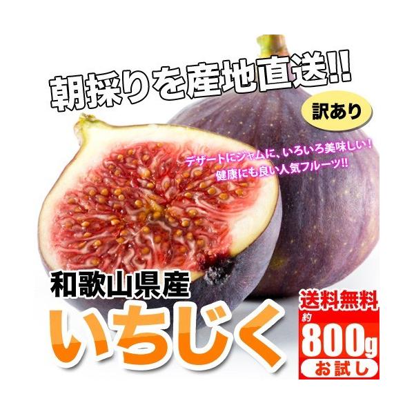 ●和歌山県産完熟イチジク　約800g(約４００g×2パック）ご自宅用　送料無料●この商品は果実に傷や変形、色むら、完熟による割れといった訳ありご自宅用商品です。●サイズは不揃いで出荷させて頂きます。個数指定や品種指定はできません。●本州・四...