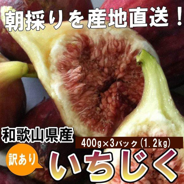 【商品仕様】●和歌山県産イチジク　約1.2kg(４００g×3パック）ご自宅用　送料無料●この商品は果実に傷や変形、色むら、完熟による割れといった訳ありご自宅用商品です。●サイズは不揃いで出荷させて頂きます。個数指定や品種指定はできません。●...