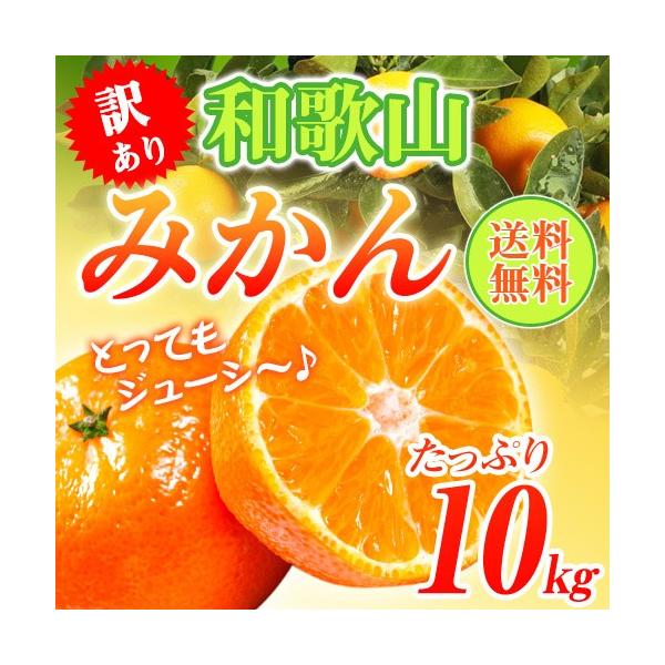 【発売日：2016年10月15日】◆只今ご予約受付中。１０月中旬より順次発送◆和歌山県産みかん　訳あり（優品）10kg　産地箱　送料無料◆大小サイズ不揃い（3Lサイズ〜3Sサイズ）◆サイズ指定、日時指定、時間指定、品種指定はできません