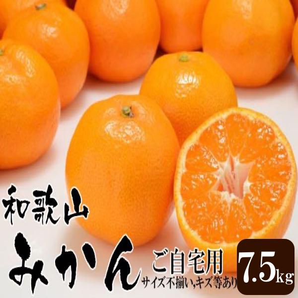 【商品仕様】◆和歌山県産みかん　訳あり（優品）7.5kg　産地箱　送料無料◆大小サイズ不揃い（3Lサイズ〜3Sサイズ）◆サイズ指定、日時指定、時間指定、品種指定はできません【商品説明】和歌山を代表する温州みかん、温暖な気候で太陽の光を一杯に...