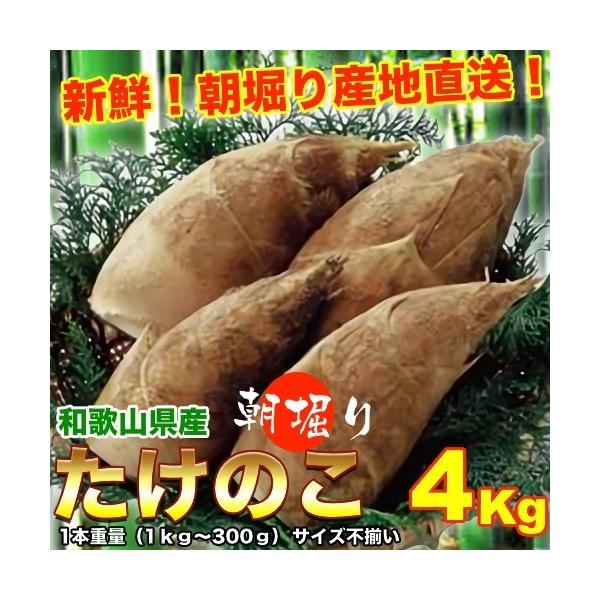 ■3本〜13本の朝堀たけのこを約4kg産地箱入(ぬか付き)■ご予約受付中。４月中旬より順次出荷致します。■和歌山県産■クール便(ヤマト運輸）