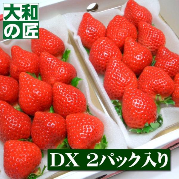 高級果物店「フルーツ大和」の匠が厳選。『あまおう』は福岡県生まれのブランドイチゴです。【内容量】2パック入り(1パックあたり約270g)12粒〜6粒入り【名称】あまおう【賞味期限】配送日から約2日(なるべくお早めにお召し上がり下さい)【配送...