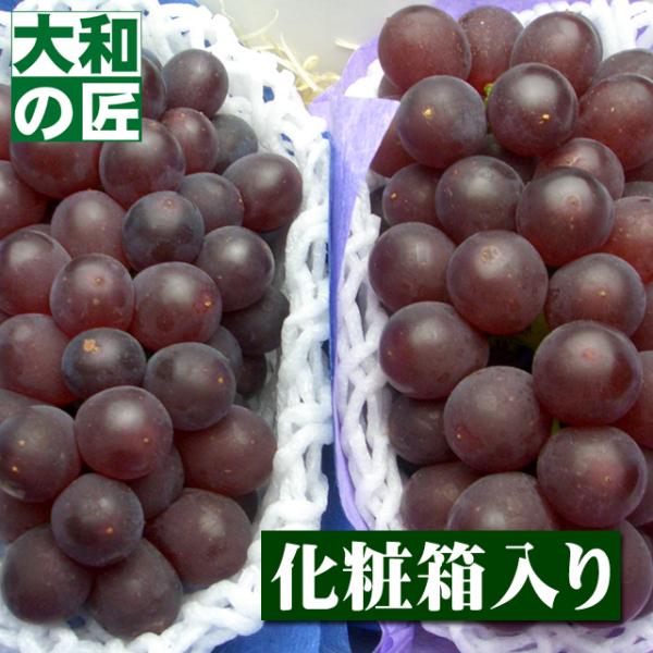 高級果物店「フルーツ大和」の匠が厳選。「キングデラ」は、普通のデラウェアよりも大粒で甘み豊かな高級ぶどう。種なしで食べやすく、デラウェアの濃厚な味わいに加え、ほのかに広がるマスカットの香りが魅力です。つるっと剥ける果皮とジューシーな果肉で、...
