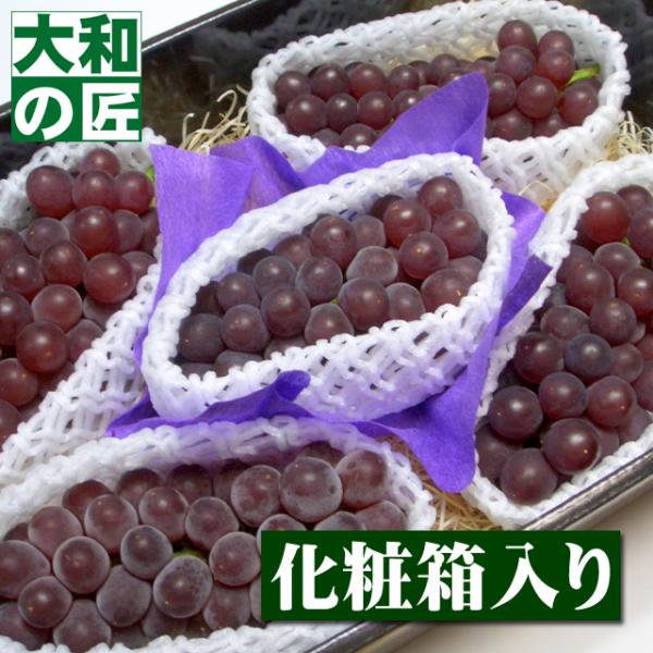 高級果物店「フルーツ大和」の匠が厳選。「キングデラ」は、普通のデラウェアよりも大粒で甘み豊かな高級ぶどう。種なしで食べやすく、デラウェアの濃厚な味わいに加え、ほのかに広がるマスカットの香りが魅力です。つるっと剥ける果皮とジューシーな果肉で、...