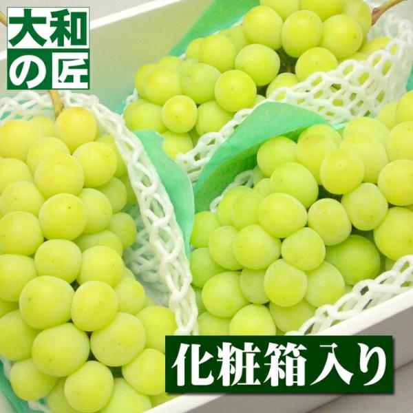 高級果物店「フルーツ大和」の匠が厳選。種無しで皮ごと食べることの出来るブドウが増えてきていますが、これほど上品で高級感のある味のブドウは見たことがありませんでした…その名も『シャインマスカット』。名前からして只者ではない風格を醸し出している...