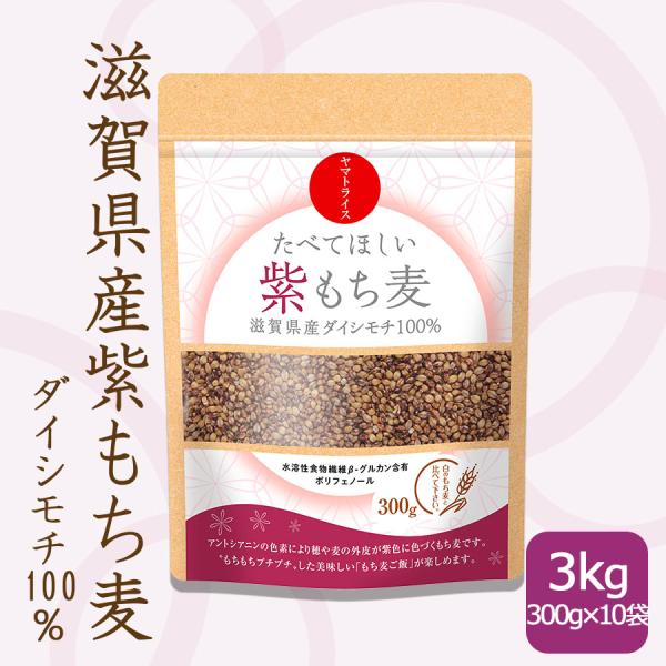 今注目の食材！もち麦！「水溶性食物繊維 βグルカン」「ポリフェノール」を含む食材としてとても人気です！国産 滋賀県産のダイシモチを100%使用。産地にもこだわりました！お米と混ぜて簡単に炊飯でき、手軽にもちもち・プチプチとした食感が楽しめます！