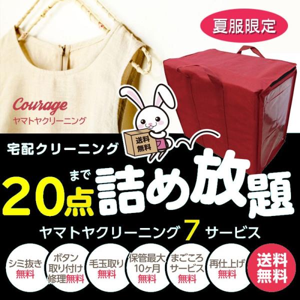※注意点※・冬物衣類は通常のクリーニングコースをご利用ください。・夏物限定ですので、集荷バッグのサイズが小さいです。(赤色)・冬物衣類は対象ではありません。●商品名クリーニング 宅配　夏物衣類限定 ２０点 ●保管無料保管可能期間は当社到着後...