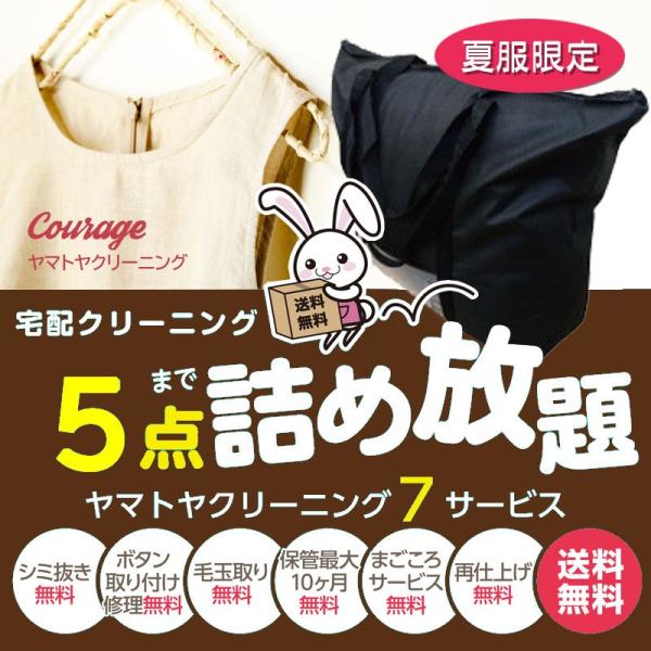 ※注意点※・冬物衣類は通常のクリーニングコースをご利用ください。・冬物衣類は対象ではありません。●商品名クリーニング 宅配　夏物衣類限定 ５点 ●保管無料保管可能期間は当社到着後、10か月間です。●送料無料北海道・沖縄・離島のお客様はお問合...