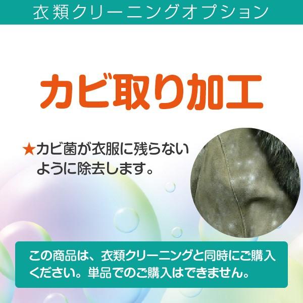 カビ菌が衣類に残らないように除去します。★この商品は衣類クリーニングと同時購入してください。単品でのご購入はできません。クリーニング 宅配  詰め放題 ハンガー 保管 送料無料 宅配 クリーニング コート スーツ ワンピース ダウン 衣替え