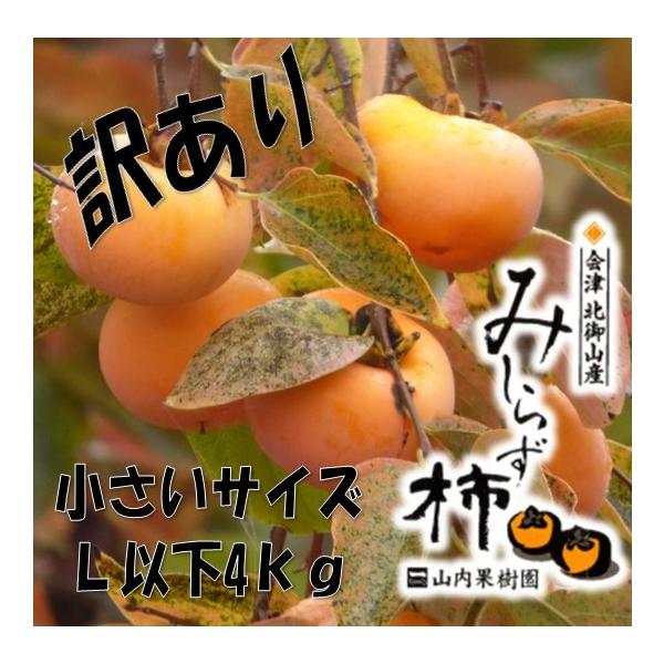 【発売日：2026年11月21日】訳アリ品！黒い枝づれによる傷などが多く入り見た目があまりよくないですが味はかわらずです。ご自宅用などにご利用くださいませ。会津の秋を代表する果樹会津みしらず柿。毎年皇室へ献上される献上柿としても知られていま...