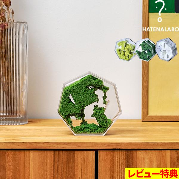 不思議な手ざわりがクセになる、飾って、眺めて、触って楽しめるインテリア雑貨。お好きな形で「コットンクレイ」の魅力を堪能してみてください。心が落ち着き、普段は見過ごしがちな小さな変化や瞬間をじっくり楽しむ力が育まれるかもしれません。他にはない...