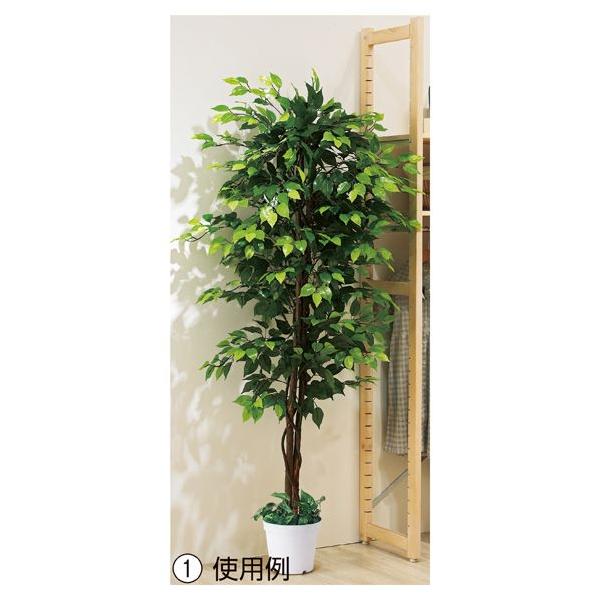人工観葉植物「ベンジャミン 立ち木　グリーン（H180cm）1台」天然幹を使用した大型で存在感のある人工樹木を、お手頃価格でご提供。劣化防止コーディング＆殺虫効果のある燻製処理をしているので安心です。人工観葉植物、装飾で美しく華やかに。リア...