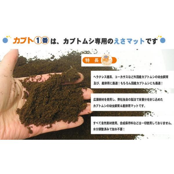 カブト1番は高栄養のえさマットですので、保管状況や輸送途中の影響などにより強い発酵臭がする場合があります。その場合は衣装ケースなどの大きな容器に移すか、敷いた新聞紙などの上にマットを広げ、よく攪拌して空気を送り込んであげてください。2、3日...