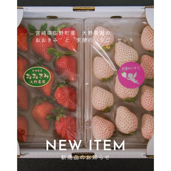 【発売日：2025年01月06日】「おおきみ」おおきみは、通常のいちごより1.5倍程大粒で色が艶やかです。わたがしのようなきめ細やかな食感も特徴です。全国でも生産量が少なく、市場に中々出回らないめずらしい品種です。「天使のいちご」ふっくらと...