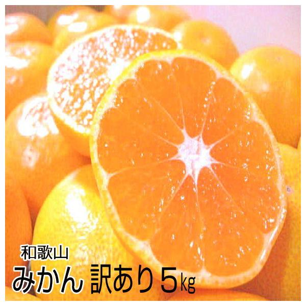 スーパーでは出会えない美味しさ！濃厚な味が自慢のみかんです。ワンランク上の訳ありみかんをお楽しみください。高評価！リピーターも続出の美味しいみかん10月中旬から11月中旬頃までお召し上がりいただける『ゆら早生みかん』は極早生みかんの中でも一...