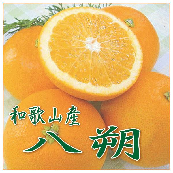 傷のあるご家庭用ですプチプチ感が何とも言えない甘酸っぱい八朔！お届け時期によって品種が変わります。（食感・みずみずしさ・食味が違います）◆販売期間：2〜5月頃◆産地：和歌山県◆≪送料無料≫ですが一部地域は送料追加となります【北海道1500円...