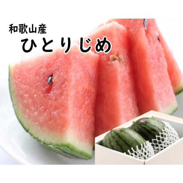 贈り物にも最適！甘くて美味しい小玉スイカ“ひとりじめ”という品種を紹介します。名前の通り一度食べたら忘れられない味！ひとりじめしたくなる味とてもジューシーで、糖度も12〜14度と甘さ十分皮が薄く、肉の甘さも隅々まで行き渡り、味が均一になって...