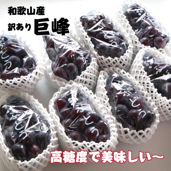 房が小さい、1房ではなく、成型である。粒がそろっていない等、正規品にはなれなかったぶどう達です。配送中の脱粒がある場合がございます。予めご了承ください。◆配送：クール便（300円）◆容量：約2.8kg◆販売期間：8〜9月中旬頃◆産地：和歌山...