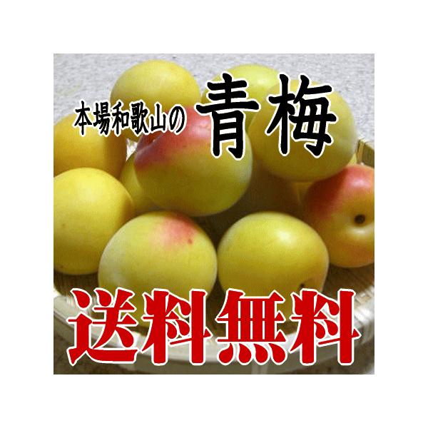 本場紀州の青梅（南高梅）は種が小さく、皮が薄くて肉厚！自分だけの梅干し作りにどうぞ。◆4月よりご予約受付けいたします◆販売期間：6月中旬〜7月中旬頃◆配送：通常便◆産地：和歌山県◆≪送料無料≫ですが一部地域は送料追加となります【北海道150...