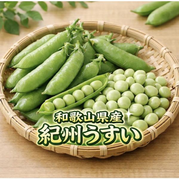 販売期間：2月〜4月頃容量：約2kg（さや付きの重量です）産地：和歌山県産消費期限：お早めにお召し上がり下さい保存方法：要冷蔵　　　　　　剥いて硬めにゆでて冷凍保存も可能です配送：ヤマトクール便