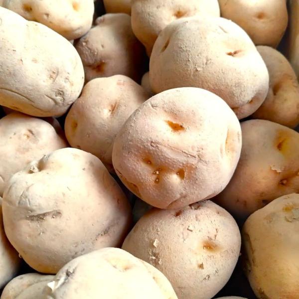 ★福井県にある小さな八百屋さん、八百屋テクテクが選んだ、北海道産男爵いもです。【内容】約３キロ【野菜の産地】北海道産【配送温度】常温便【配送時期】水曜日までのご注文（入金確認）で、金曜日に発送いたします。※順番に出荷をさせていただきますので...