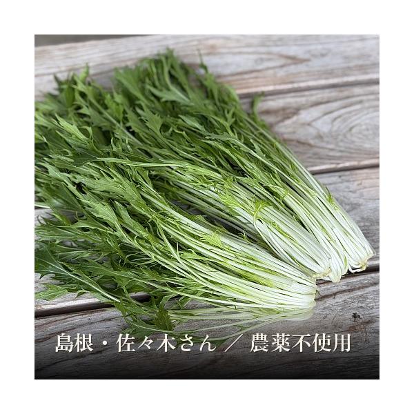 シャキシャキの水菜!