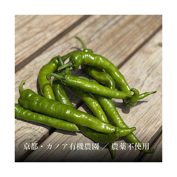 収穫開始!甘みのあるとうがらしです。■産地：京都■生産者：カノア有機農園■栽培：農薬不使用■内容量：約90g■別名・用途：伏見とうがらし／唐辛子／甘とう／京野菜／素焼き／炒め物／おばんざい◆自社農園(カノア有機農園)が育てる京都産・伏見甘長...