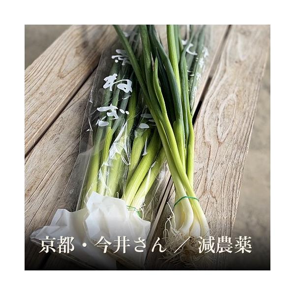 すき焼きや薬味、何でもOK!年間通して人気の京野菜です。■産地：京都■生産者：今井さん■栽培：減農薬■内容量：1束■別名・用途：九条ネギ／くじょうねぎ／青ねぎ／細ねぎ／京都伝統野菜／鍋／ねぎ焼き◆ 九条ねぎとは九条ねぎは、京都が誇る京野菜の...