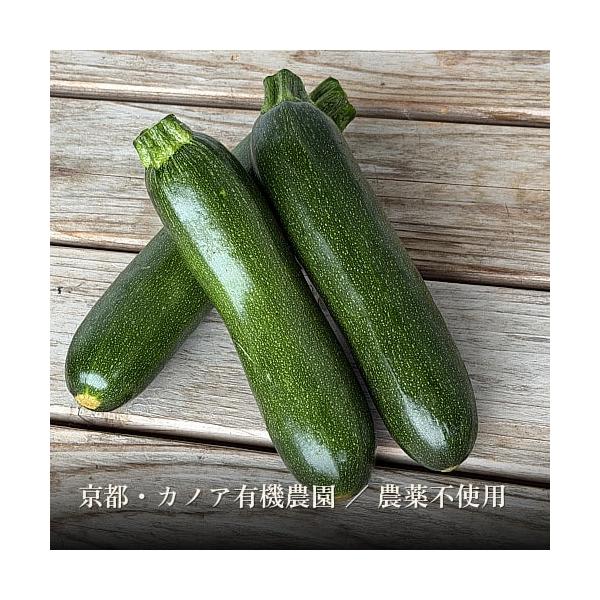 とってもジューシーなズッキーニ!■産地：京都■生産者：カノア有機農園■栽培：農薬不使用■内容量：1本■別名・用途：ずっきーに／夏野菜／イタリア野菜／ラタトゥイユ／グリル／ソテー／炒め物／パスタ／肉詰め◆カノア有機農園が育てる京都産・ズッキー...
