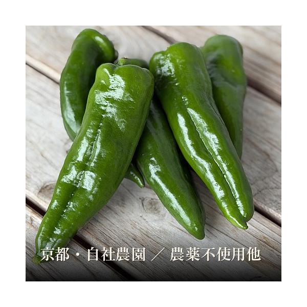 自社農園が農薬不使用で育てた京野菜の王様!肉厚で辛みがなく、ジューシーな甘みとコク深い味わいが楽しめます!■産地：京都■生産者：自社農園 ほか■栽培：農薬不使用■内容量：約150g■別名・用途：まんがんじとうがらし／万願寺甘とう／唐辛子／甘...