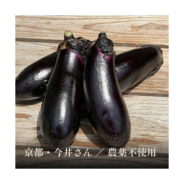 煮ても焼いてもトロトロ美味しい!■産地：京都■生産者：今井さん■栽培：農薬不使用■内容量：2本■別名・用途：せんりょうなす／ナス／茄子／なすび／焼きなす／麻婆なす／揚げ浸し／煮浸し／炒め物／夏野菜◆今井さんが広沢の池のほとりで育てる千両なす...