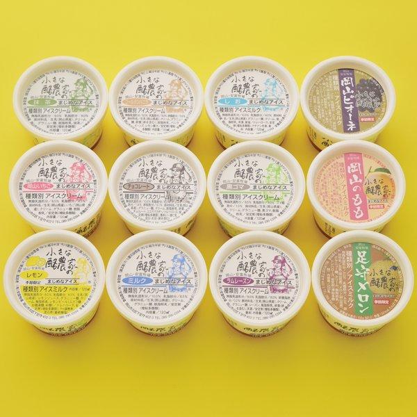 【発売日：2026年06月15日】●内容量：カップアイス（120ml）×12個●箱サイズ：（タテ）200mm×（ヨコ）265mm×（高さ）200mm