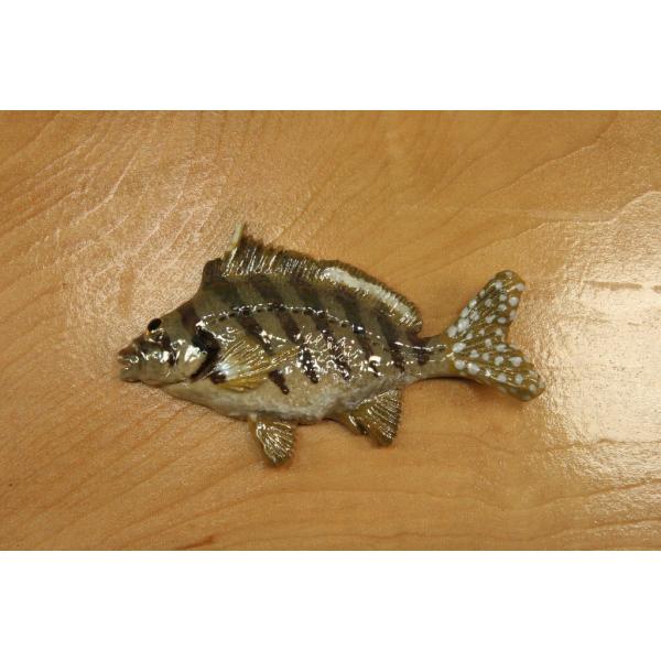 タカノハダイの箸置きです。多くの着色技法を一匹の中に集中させ、本物のような質感を出します。着色はエアブラシを使用しています。斑点・模様は一つ一つ筆で置いていきます。本体・全長約9.5cmx5.5cm。着色：下絵付/上絵付/ラスター彩/金彩。...