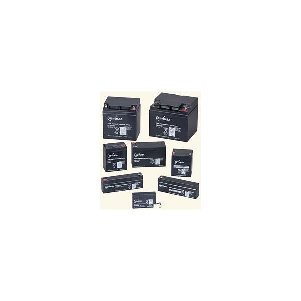 PE12V2/A (WS) ：シール型鉛蓄電池  12V-2Ah（GＳユアサ製　国内正規品）