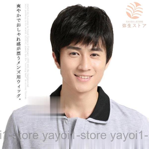 ウィッグメンズ男性つけ毛カツラ爽やかショート黒髪ダー:ウィッグメンズ男性つけ毛カツラ爽やかショート黒髪ダークブラウンフルウィッグ白髪隠し薄毛増毛父の日紳士ミディショートレイ  - 通販 - Yahoo!ショッピング