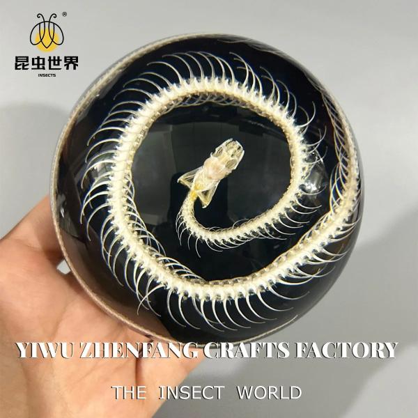 種類: 9cm hemisphere銘柄: NONE / 推奨年齢: 14+ / 懸念される化学物質: なし / 素材: RESIN(レジン) / 起源: Cn (原点) / カスタマイズされます: いいえ / テーマ: ANIMAL / ...