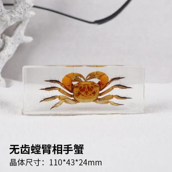 種類: armband crab素材: レジン / テーマ: アニマル / 推奨年齢: 14歳以上 / 製造元: 中国 / カスタマイズ: 不可