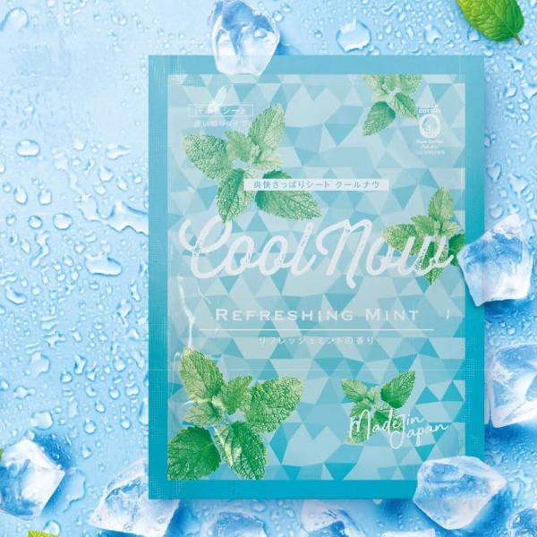 爽快シート　COOLNOW 爽快さっぱりシートで汗をサッと拭きとり、すっきりクールにリフレッシュ！ 夏の暑い屋外やエアコンがない場所、スポーツの後や仕事の合間、 汗が気になる時など、様々な場面で大活躍。 さっと拭くだけで爽快クール肌が持続し...