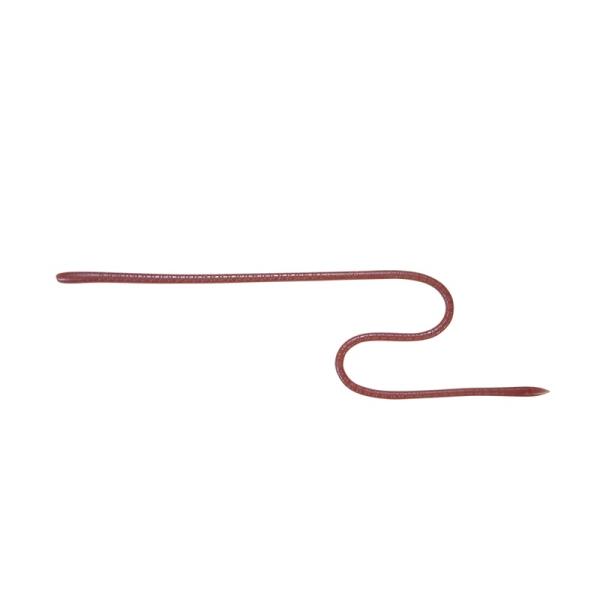 ■驚異の16インチレングス最大の特徴はスリムでロングレングスのストレートシェイプ。全長16インチ(約40cm)という他に類を見ないサイズ設定は繊細さとアピール力を具現化したもの。ハイプレッシャーな状況において、このルアーパワーは大きなアドバ...