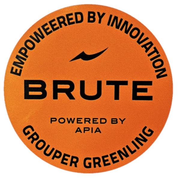 エンドキャップデザインをステッカーへAPIA　End Cap Design Stickerアピア　エンドキャップデザイン ステッカー●品名：GRANDAGE BRUTE ステッカー●サイズ：直径8cm