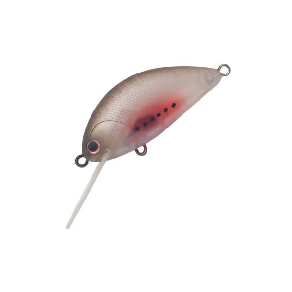 クランクならではの障害物回避能力で攻略ネイティブフィールドから冬季釣り場でのダウン、ダウンクロスのアプローチに対応するシンキングクランク“C-CRAWL”。キャスト時の安定した飛行姿勢は飛距離とアキュラシー性能の向上に寄与。スナッグレス性能...